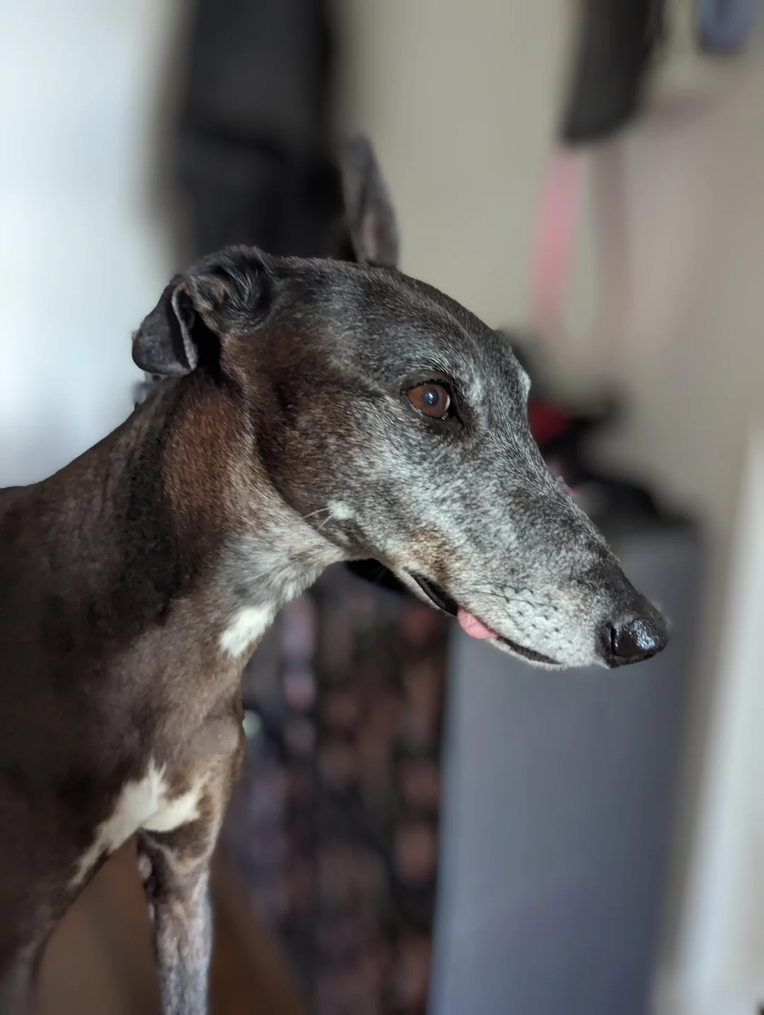 Miss Pinot, just because.... | Scrolller