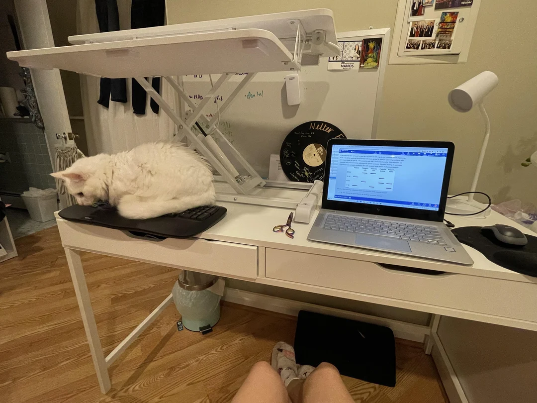 Decoy keyboard trap is working! | Scrolller