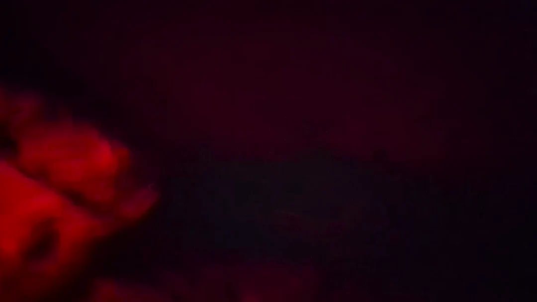 Discover more like Trap: IMANU unreleased song @ Lakota 27/01/23 and Related Content | Scrolller