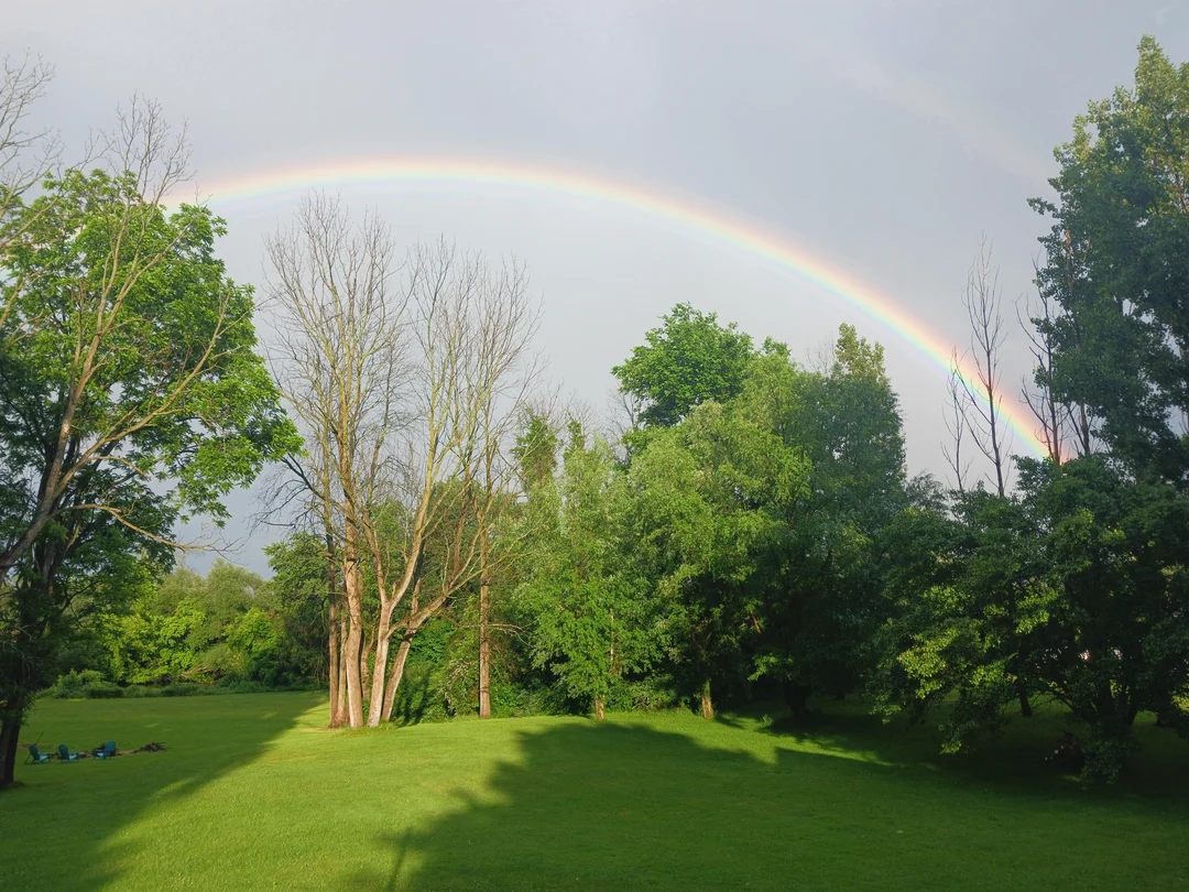 Backyard Double Rainbow | Scrolller