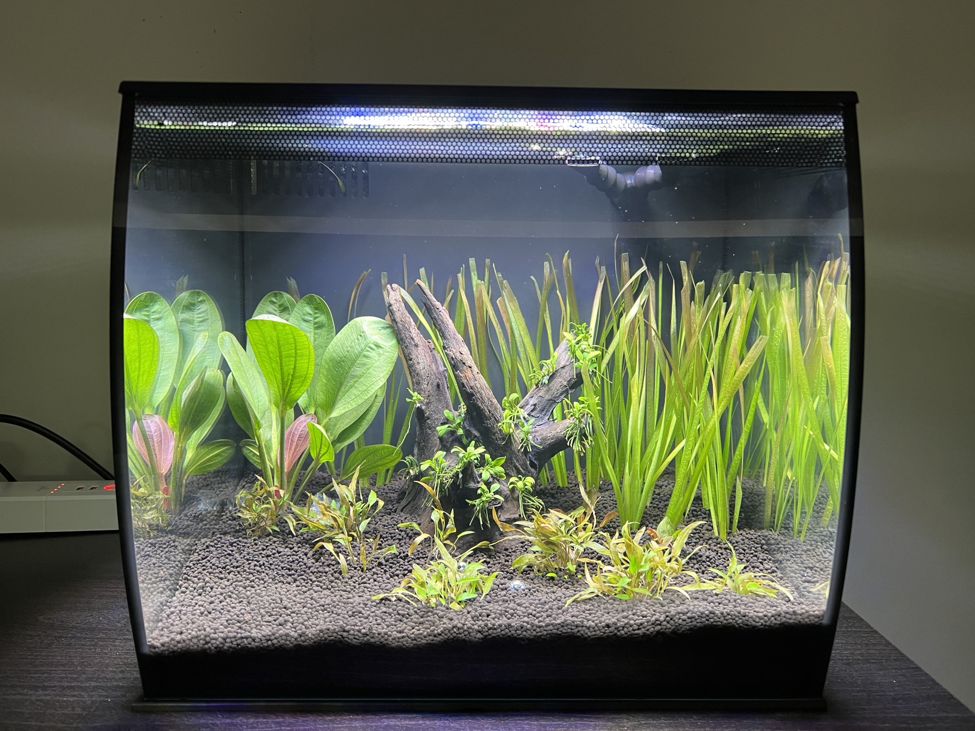 CO2 setup recommendations for Flex 9 | Scrolller