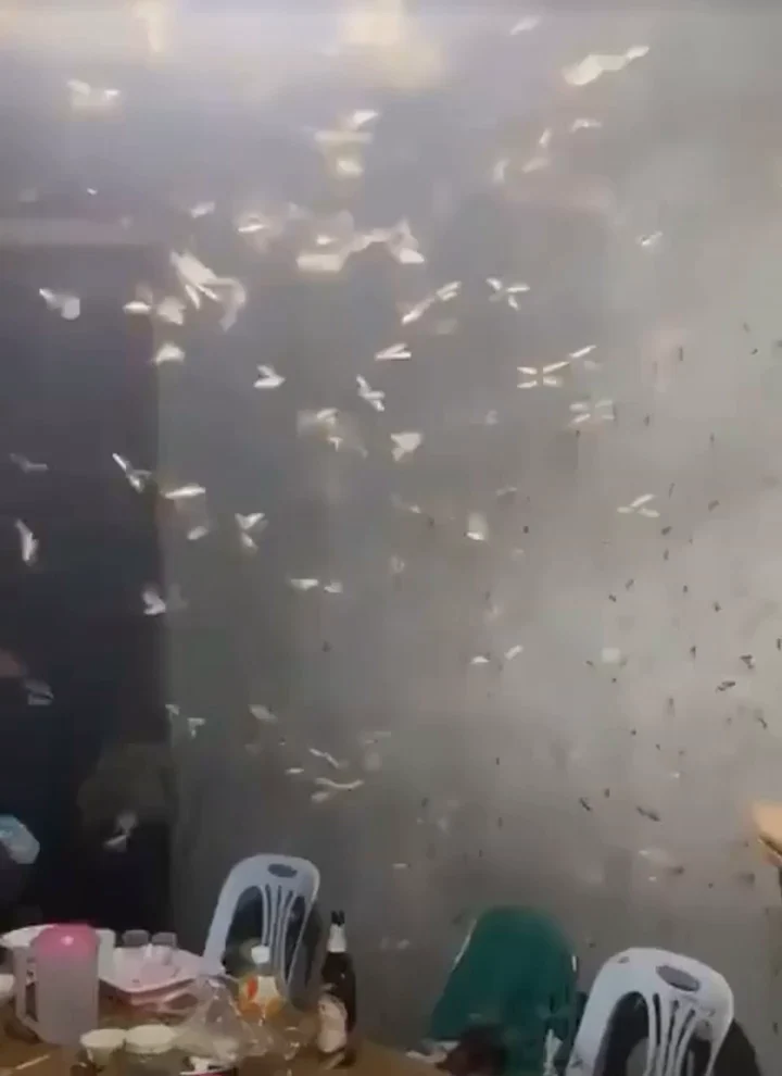 Yea I would be leaving | Scrolller