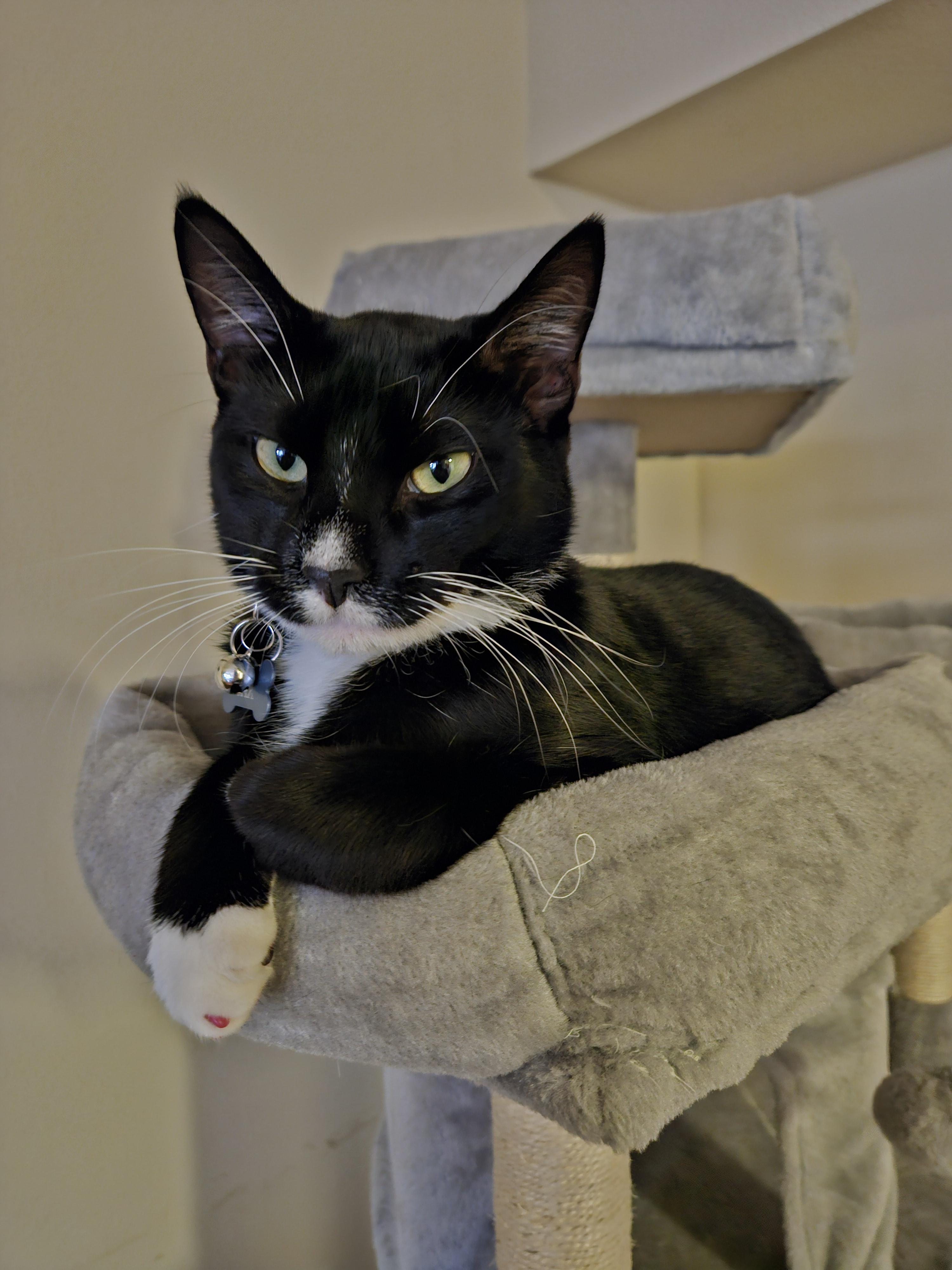 He's fully aware how handsome he is and that he's perfect. | Scrolller