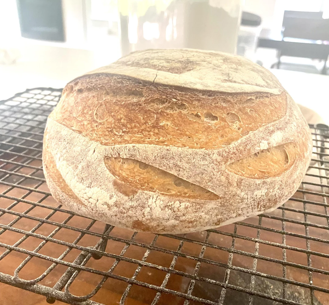 My first sourdough….third loaf of bread ever! I am pumped and borderline obsessed | Scrolller