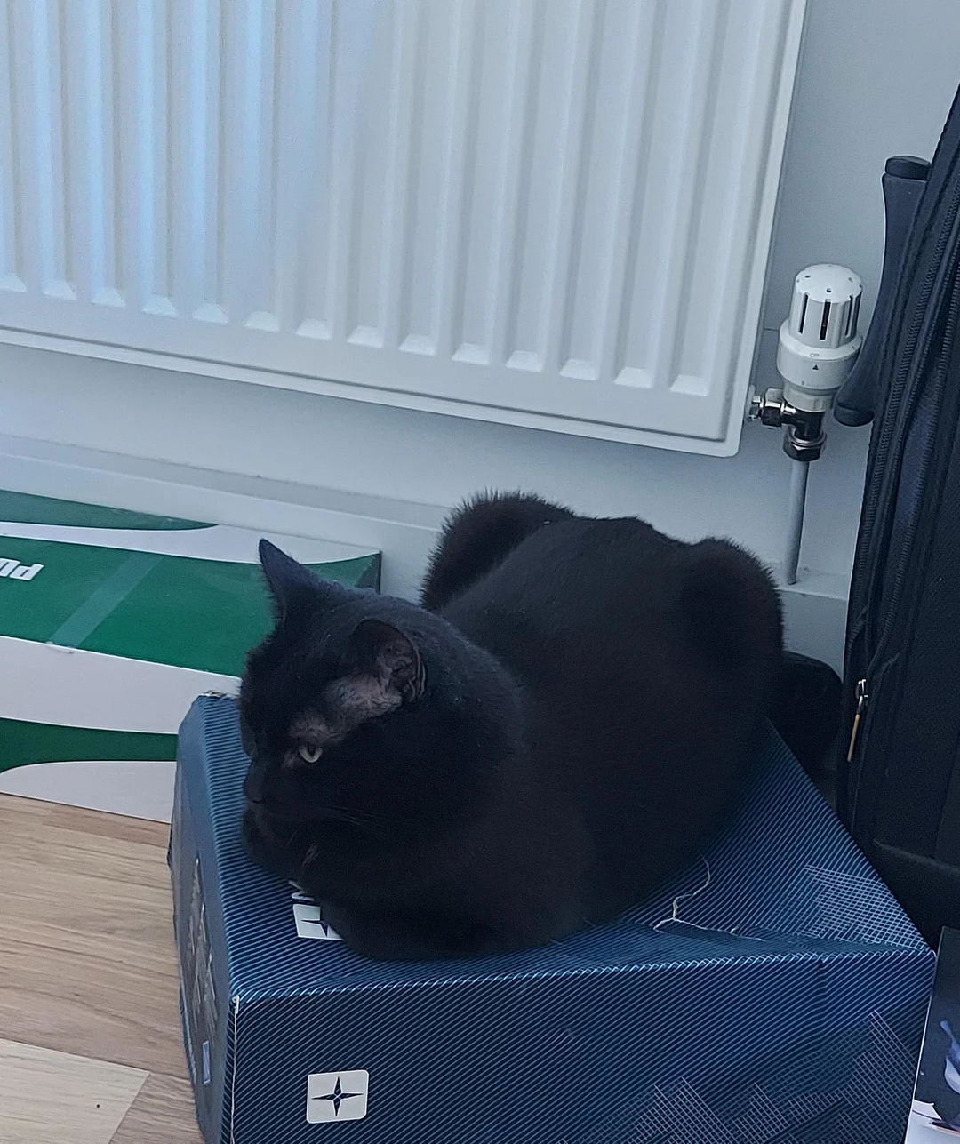 I think this loaf is burnt (and possibly plotting world domination) | Scrolller