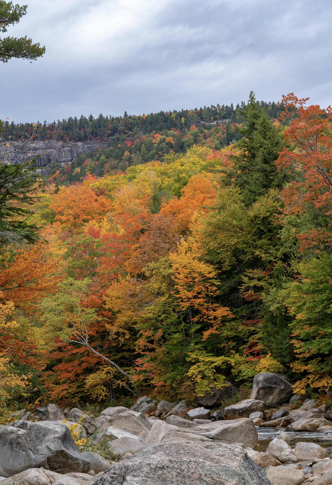 Fall foliage in New England [OC] [4024x5877] White Mountain, National Forest, New Hampshire ...
