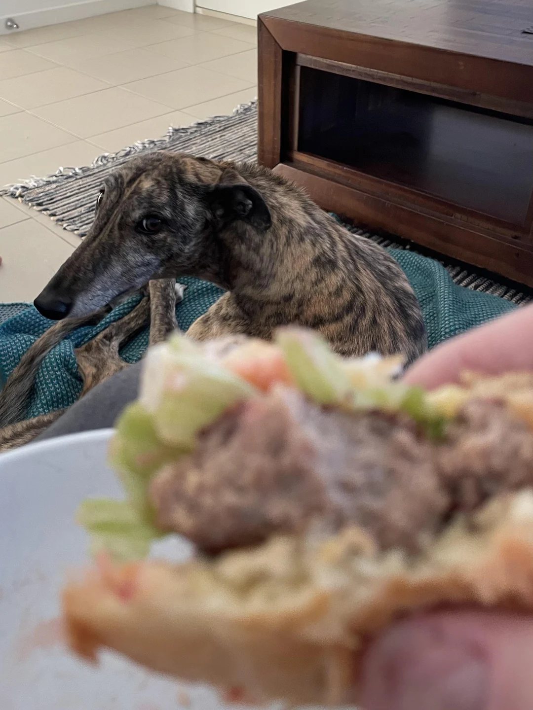 Eating Xmas dinner under the watchful eye of the food inspector | Scrolller