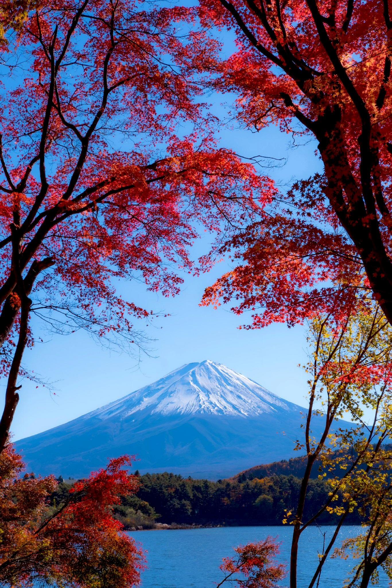 Mt. Fuji. 🇯🇵 | Scrolller