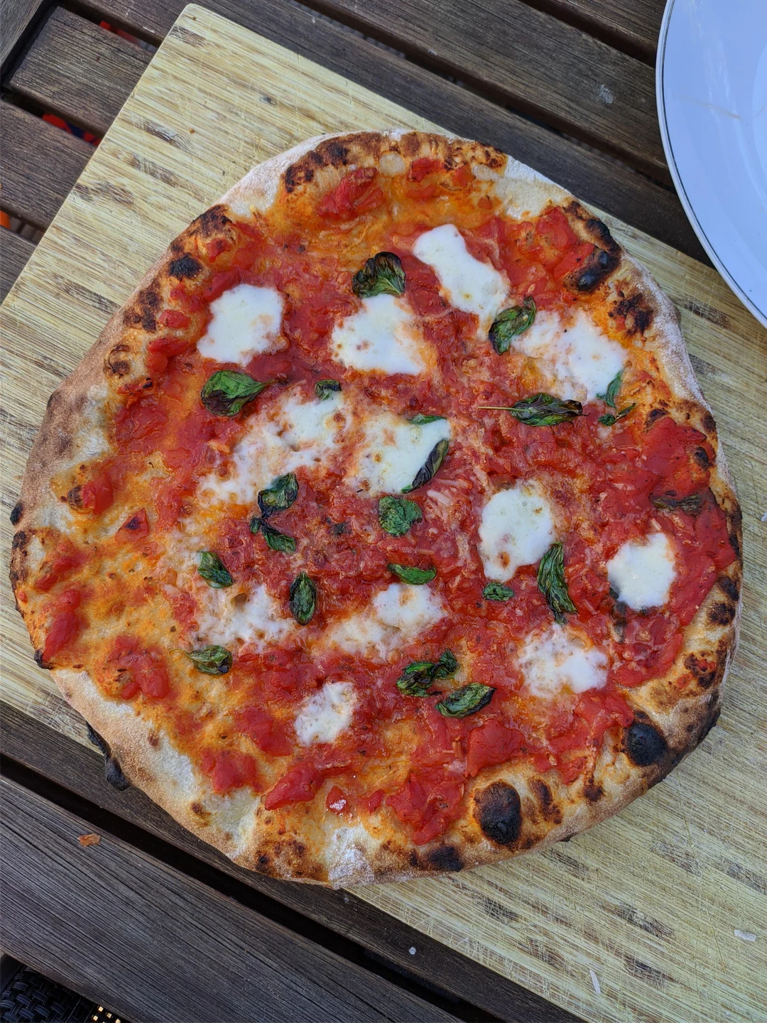 new pizza oven | Scrolller