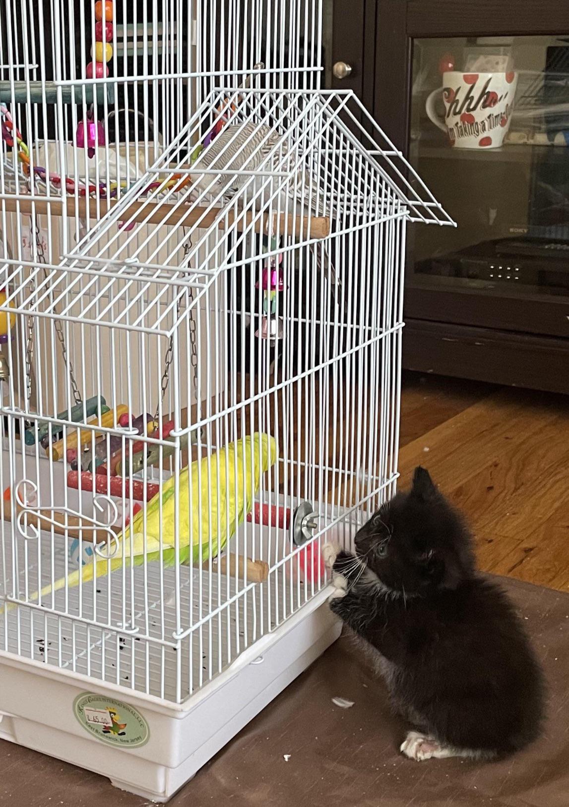 Sam & Crystal Rose w/ my Lilly | Scrolller