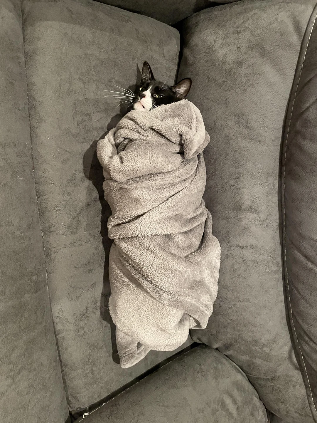 Mozzarella stuffed purrito | Scrolller