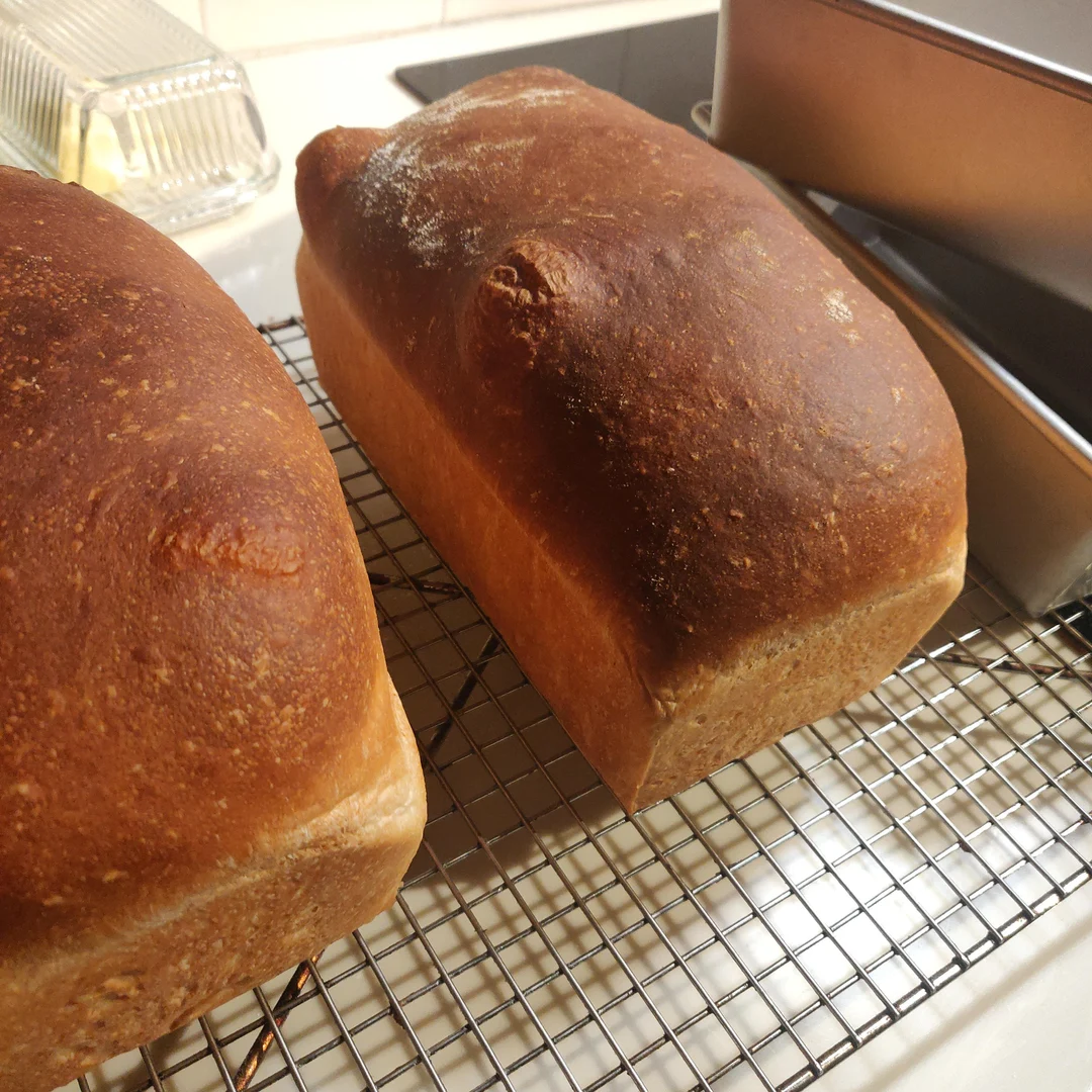I'm not sure what's inside this loaf on the right but I hope it's tasty | Scrolller