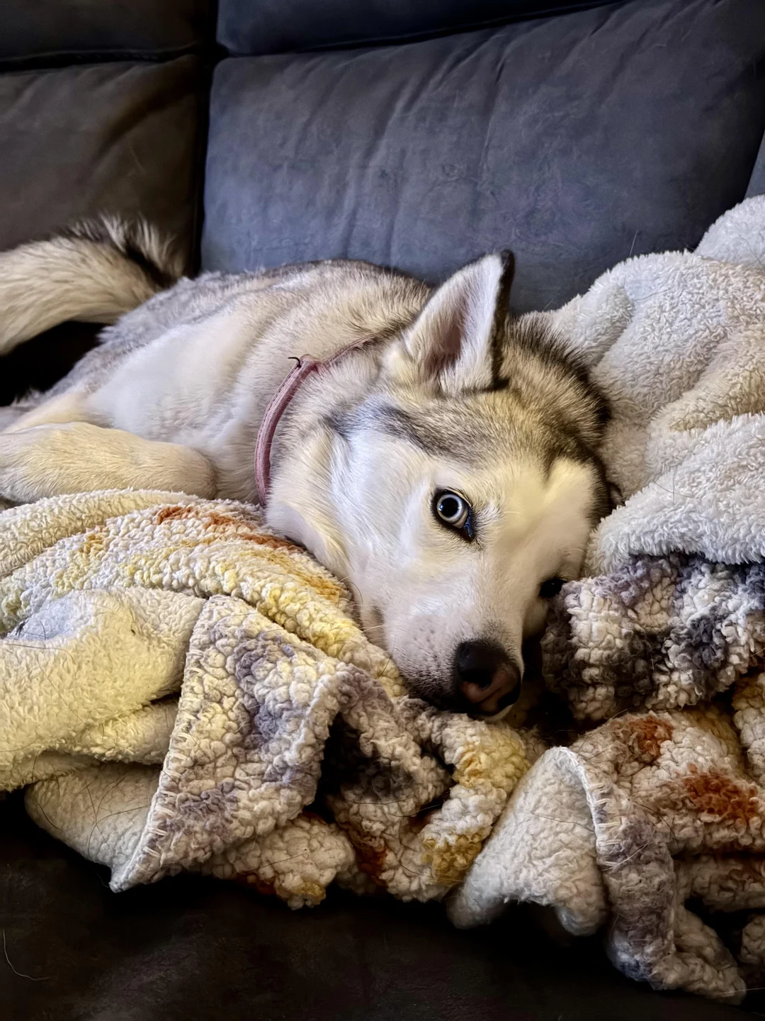 Textures | Scrolller