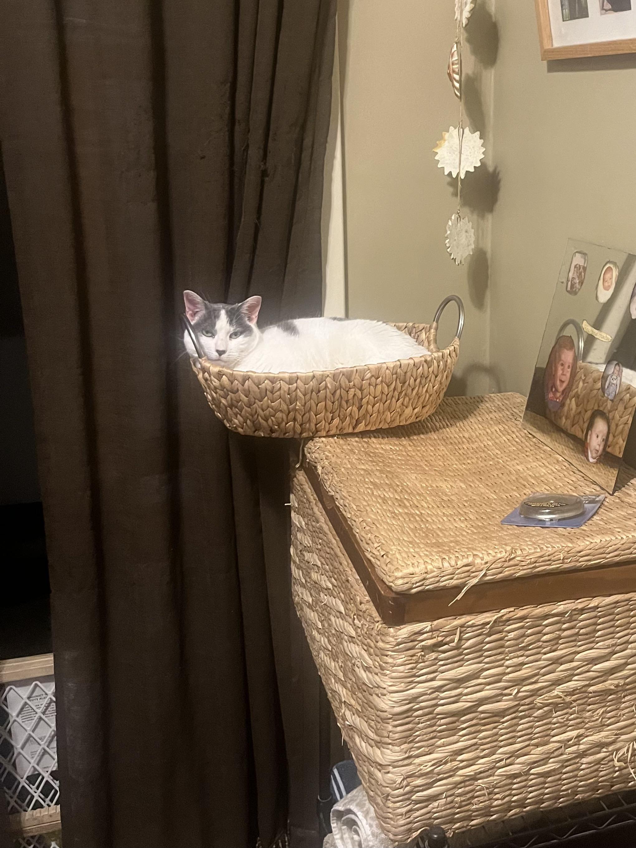 Livin on the edge | Scrolller