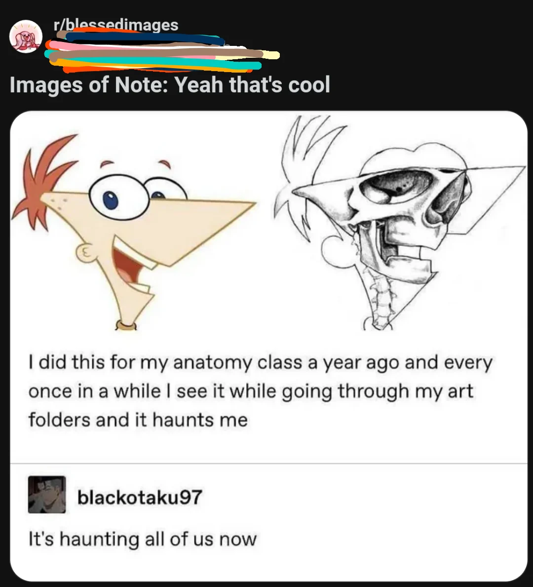 Blursed anatomy class | Scrolller