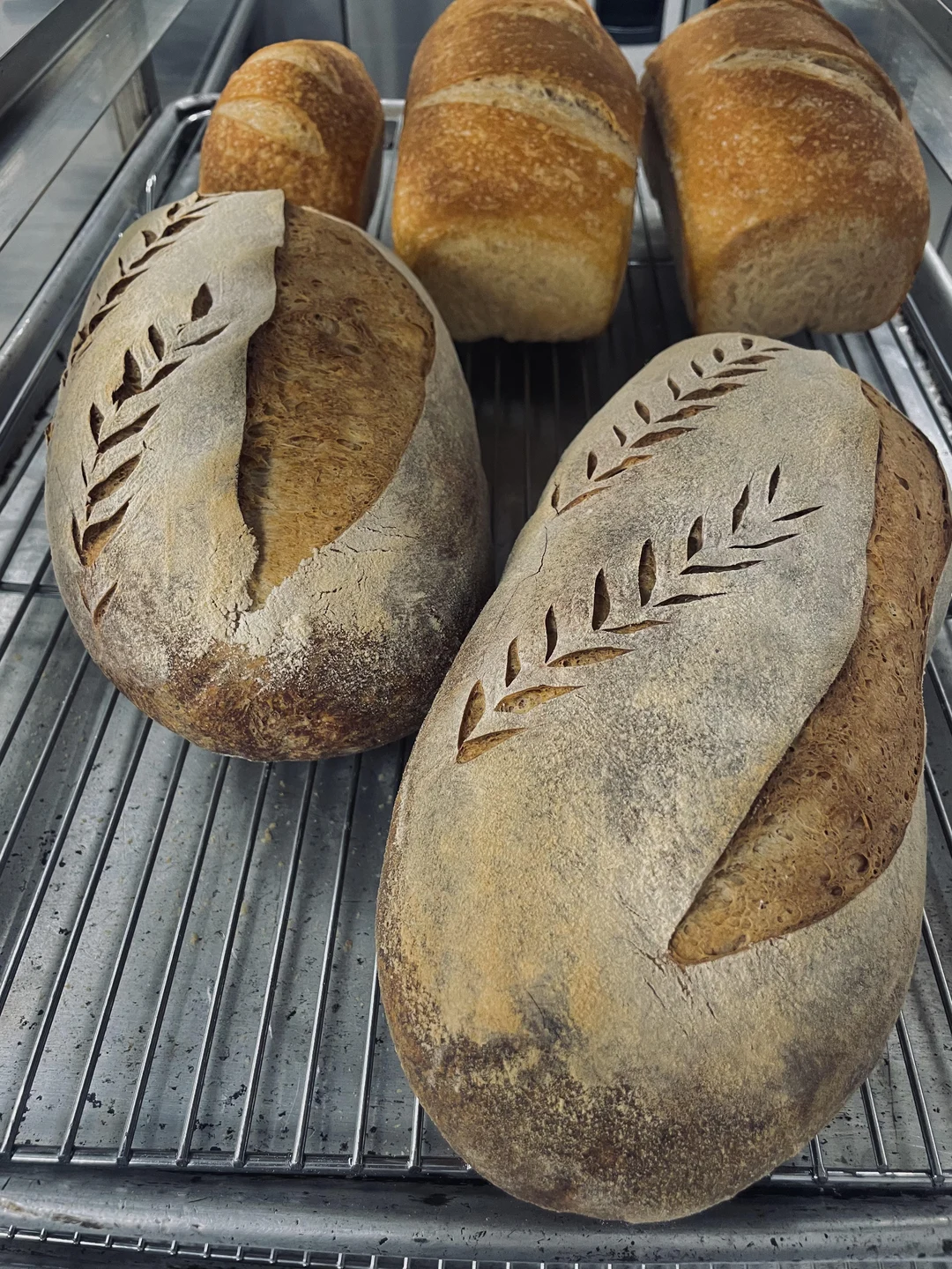 Some loaves I made at work today | Scrolller