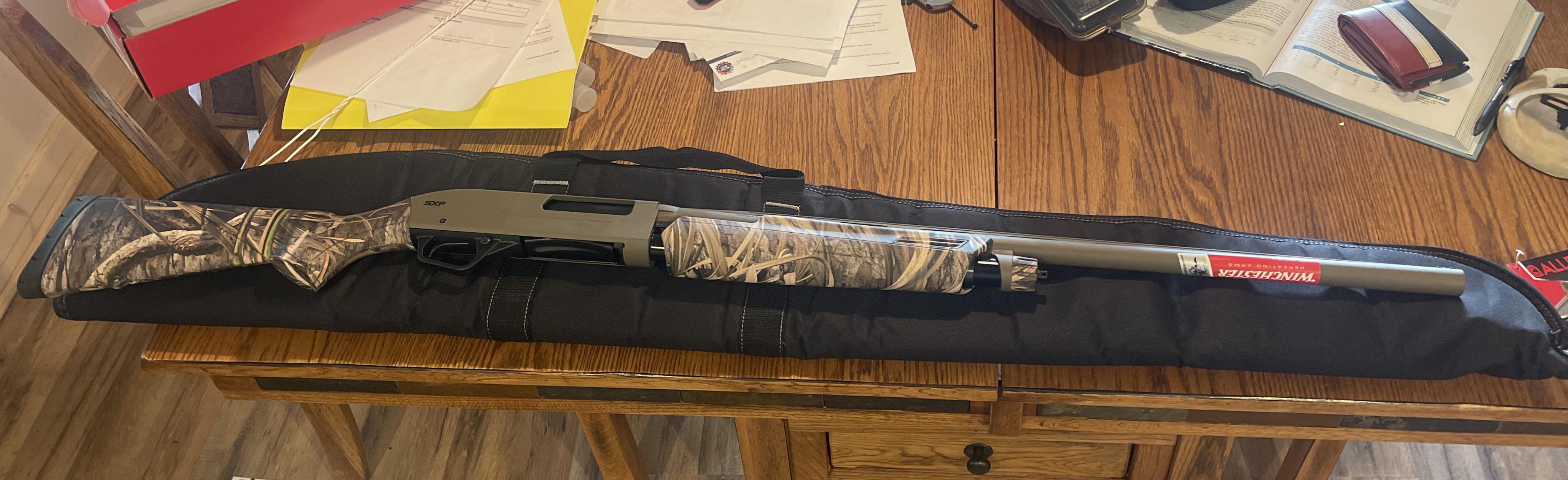 Picked up my first gun! | Scrolller