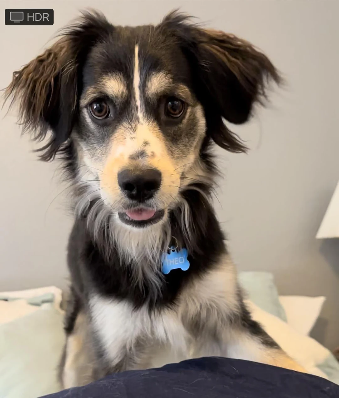 This handsome boy just turned 1 last week! | Scrolller