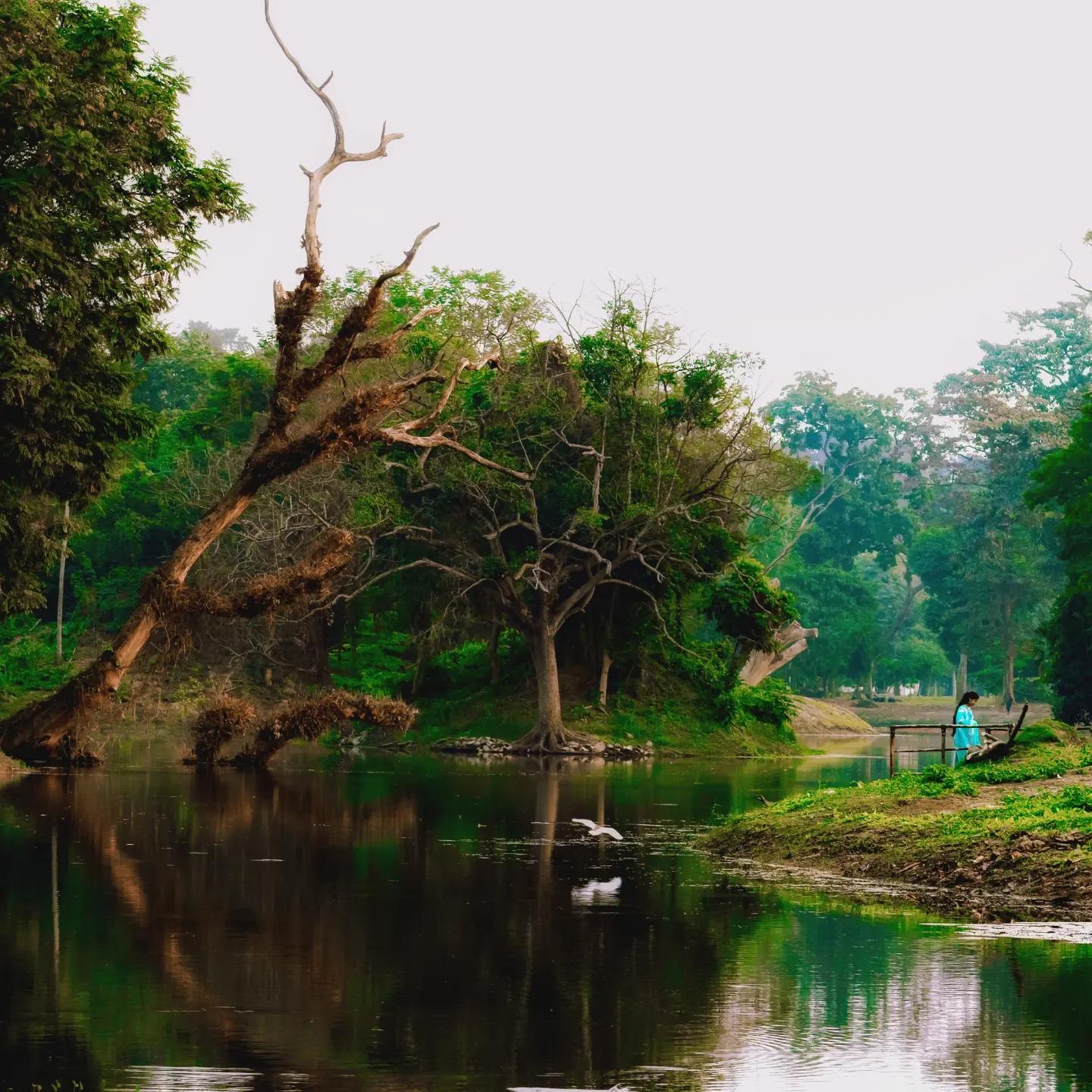 Beautiful lakeside | Scrolller