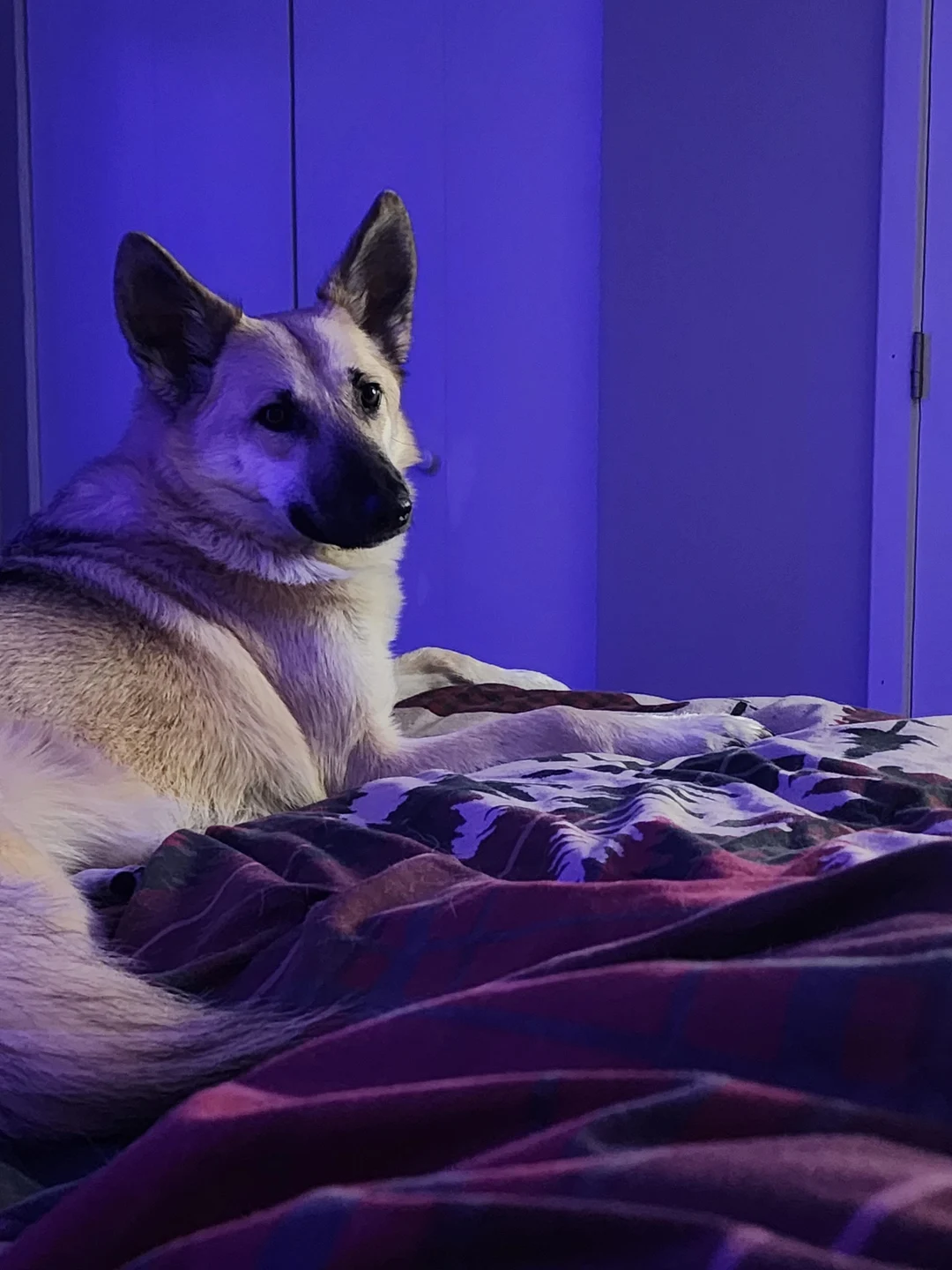 my Storm! | Scrolller