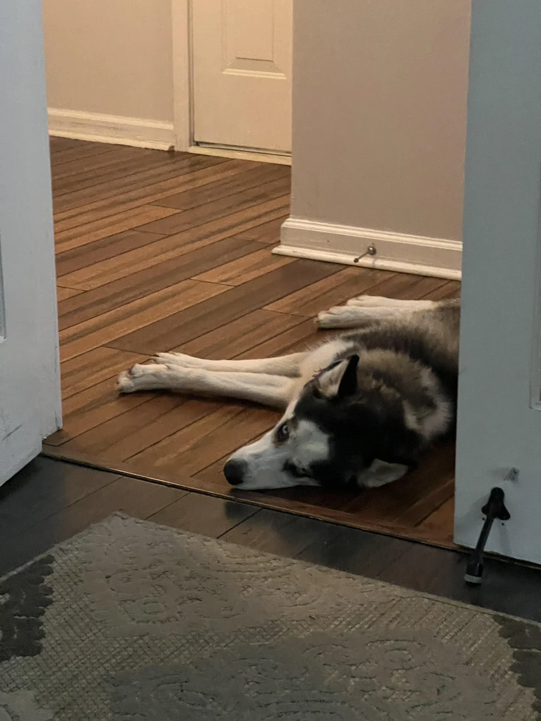 She’s making me sleepy | Scrolller