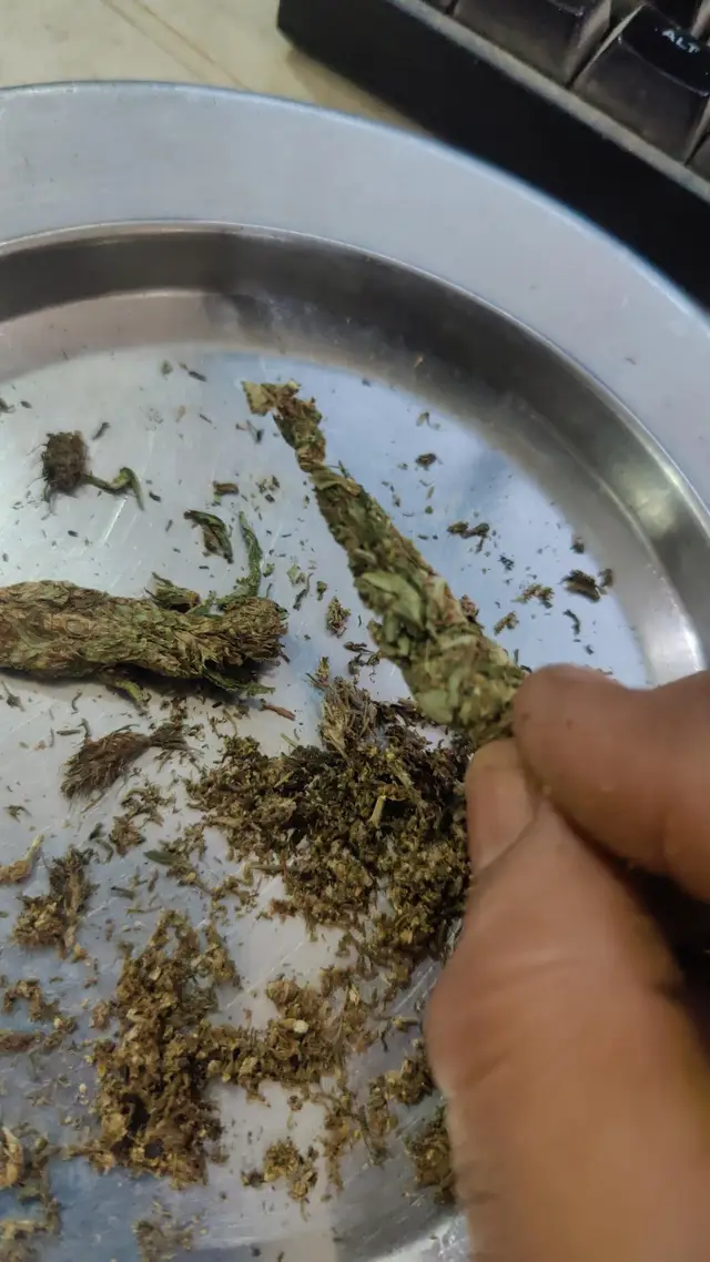 How is my fetch? | Scrolller