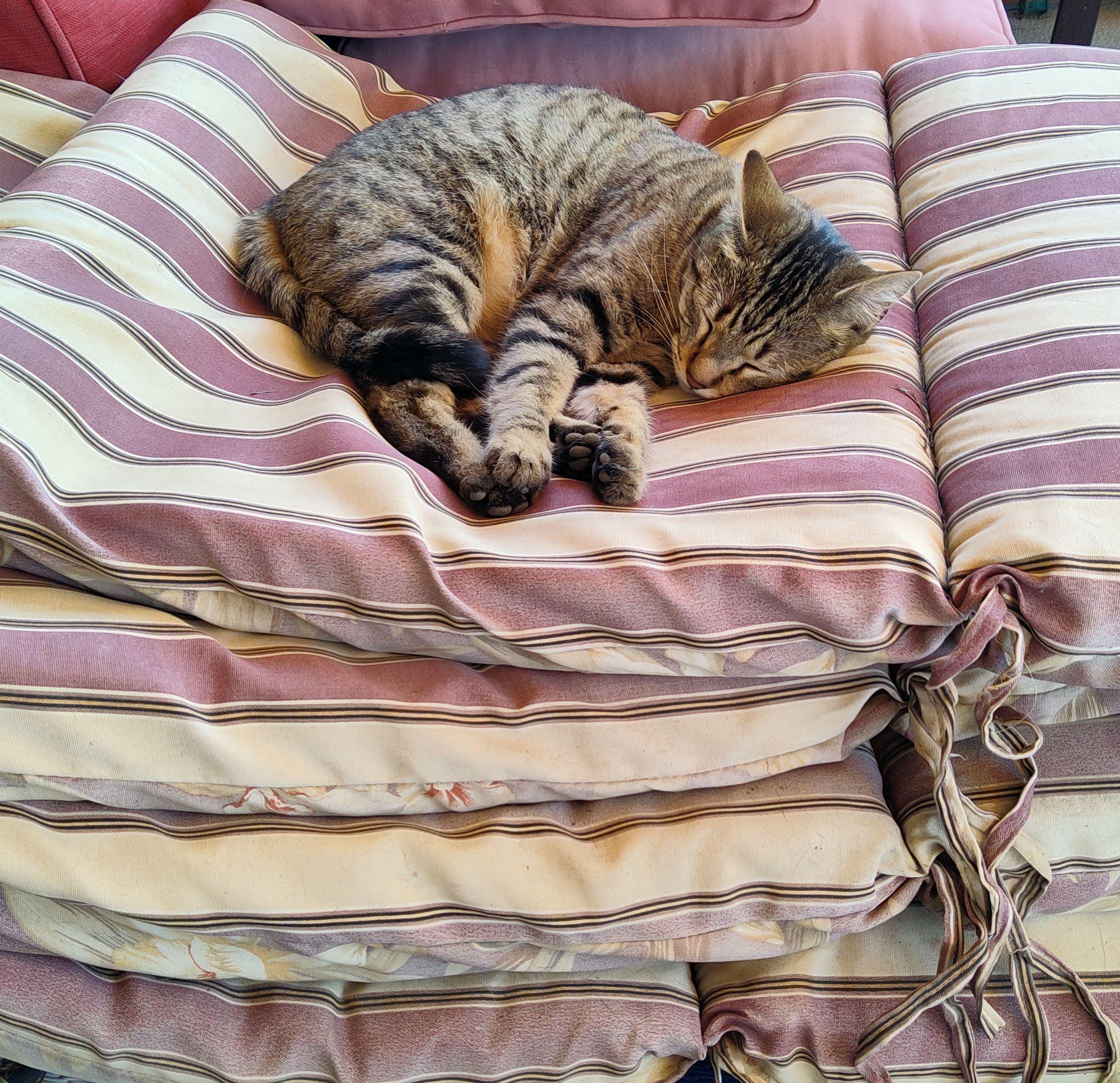 Confirmation that she's a princess. | Scrolller