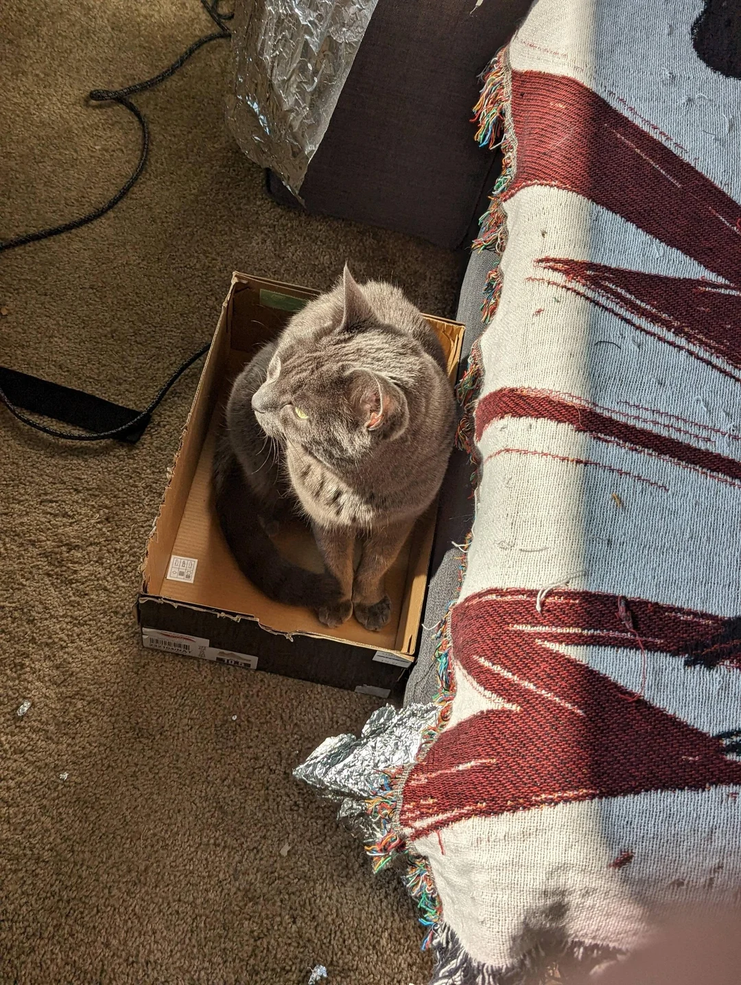 ☀️ + 📦 = trap | Scrolller