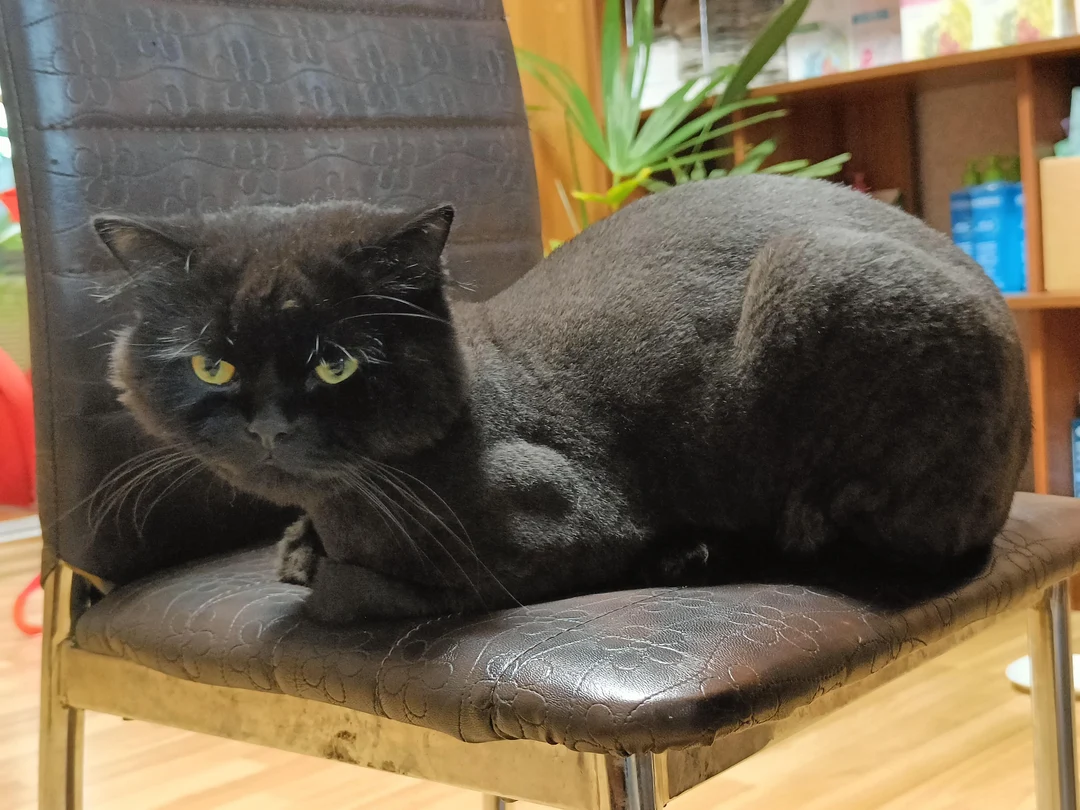 Void loaf | Scrolller