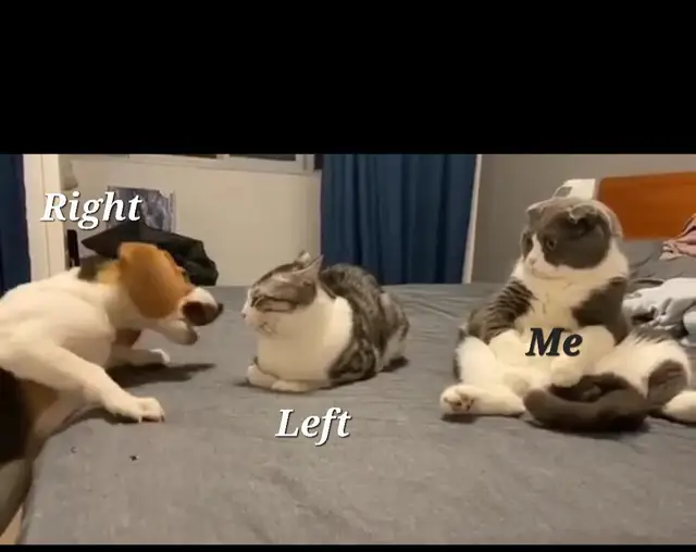 Can't we all just get along? | Scrolller