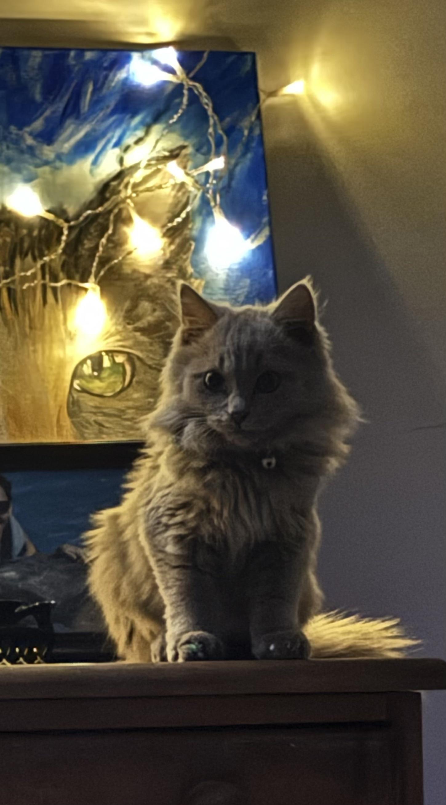 My tiny lion! | Scrolller