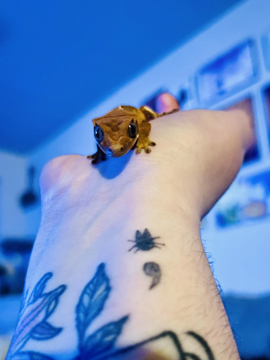 Clever girl 🦖🧡 | Scrolller