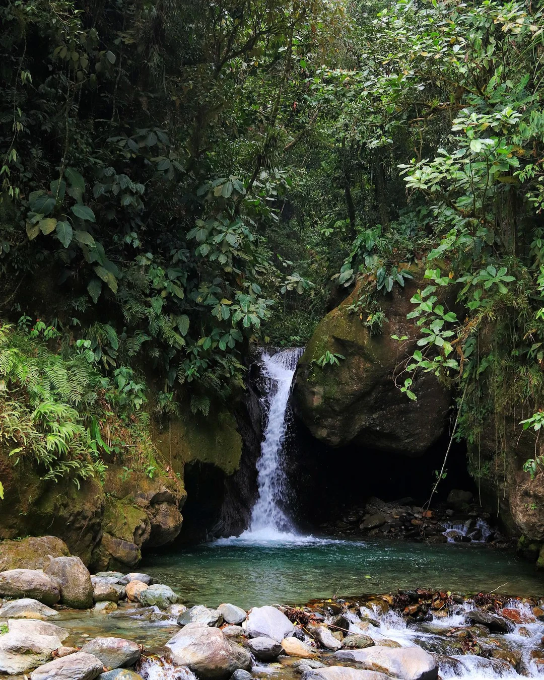 An Amazonian sanctuary: serene waterfall and natural pool in Tingomaría, Peru [OC] [1440x1800 ...