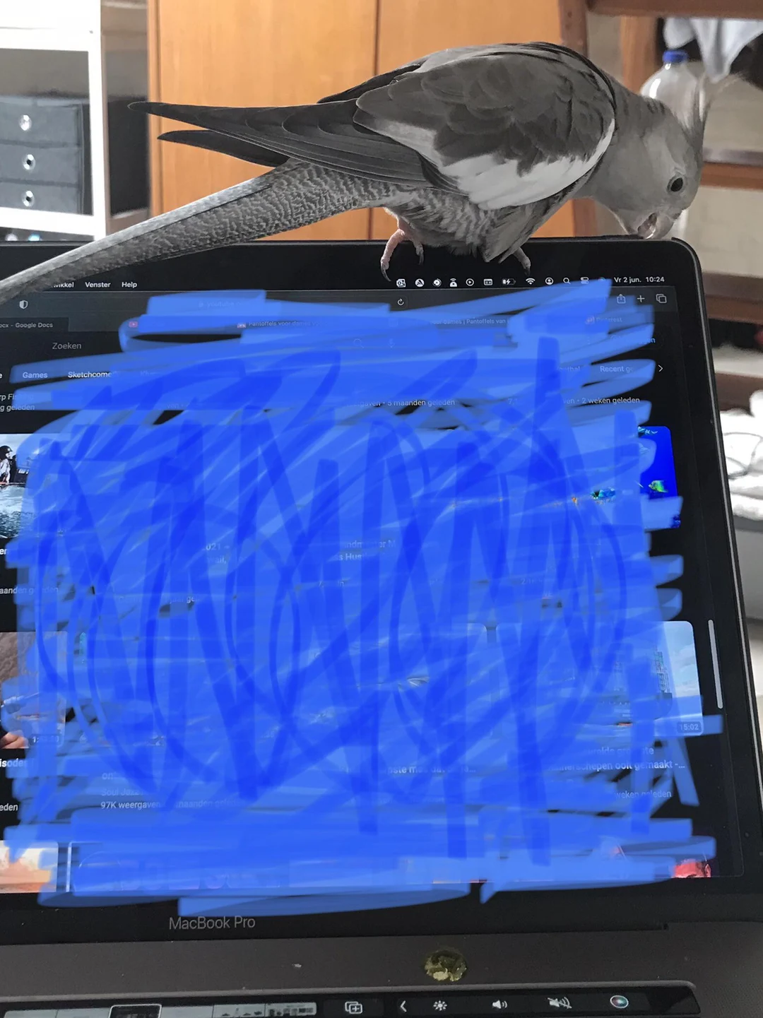 Working from home… | Scrolller