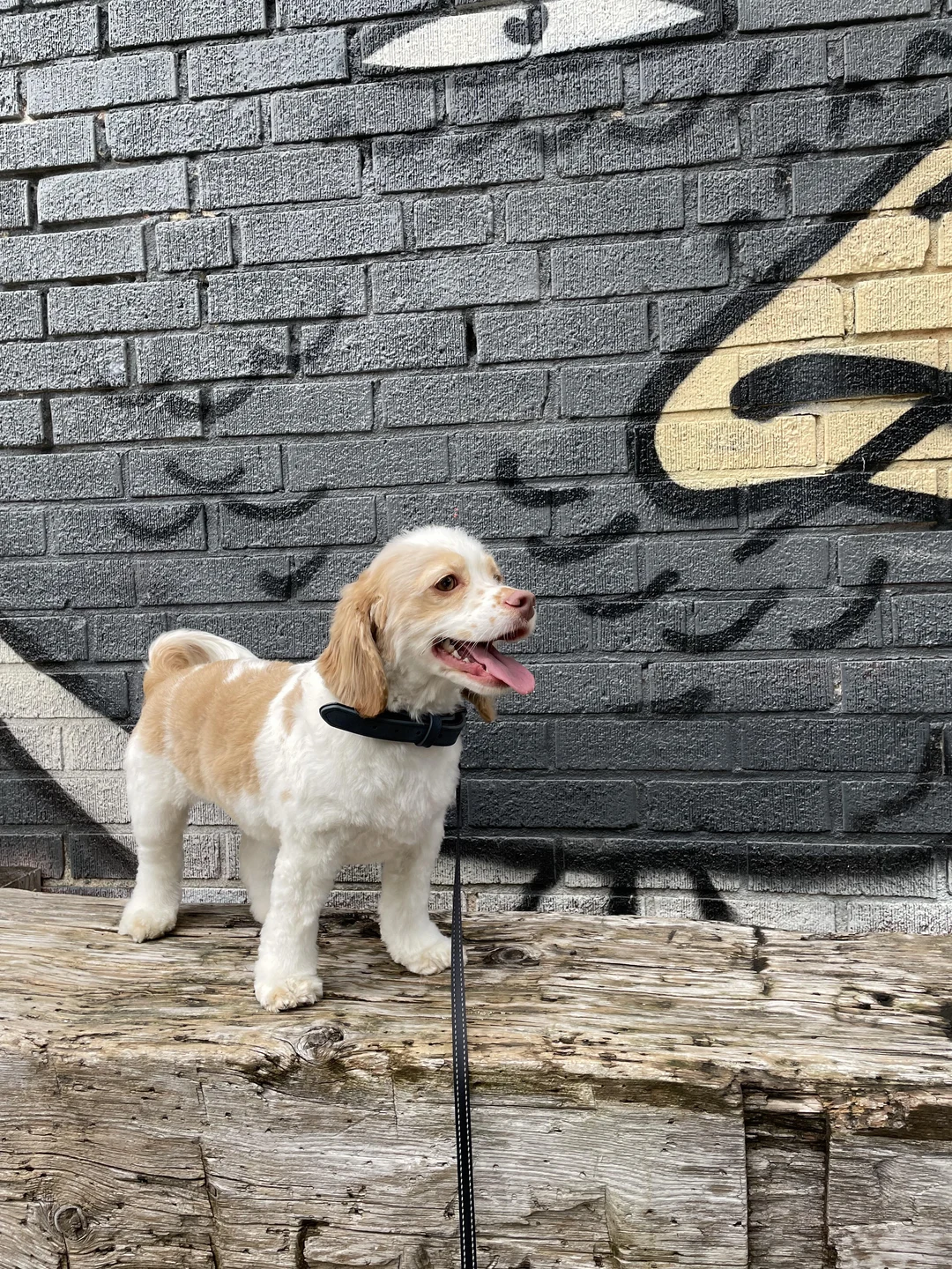 Fresh cut | Scrolller