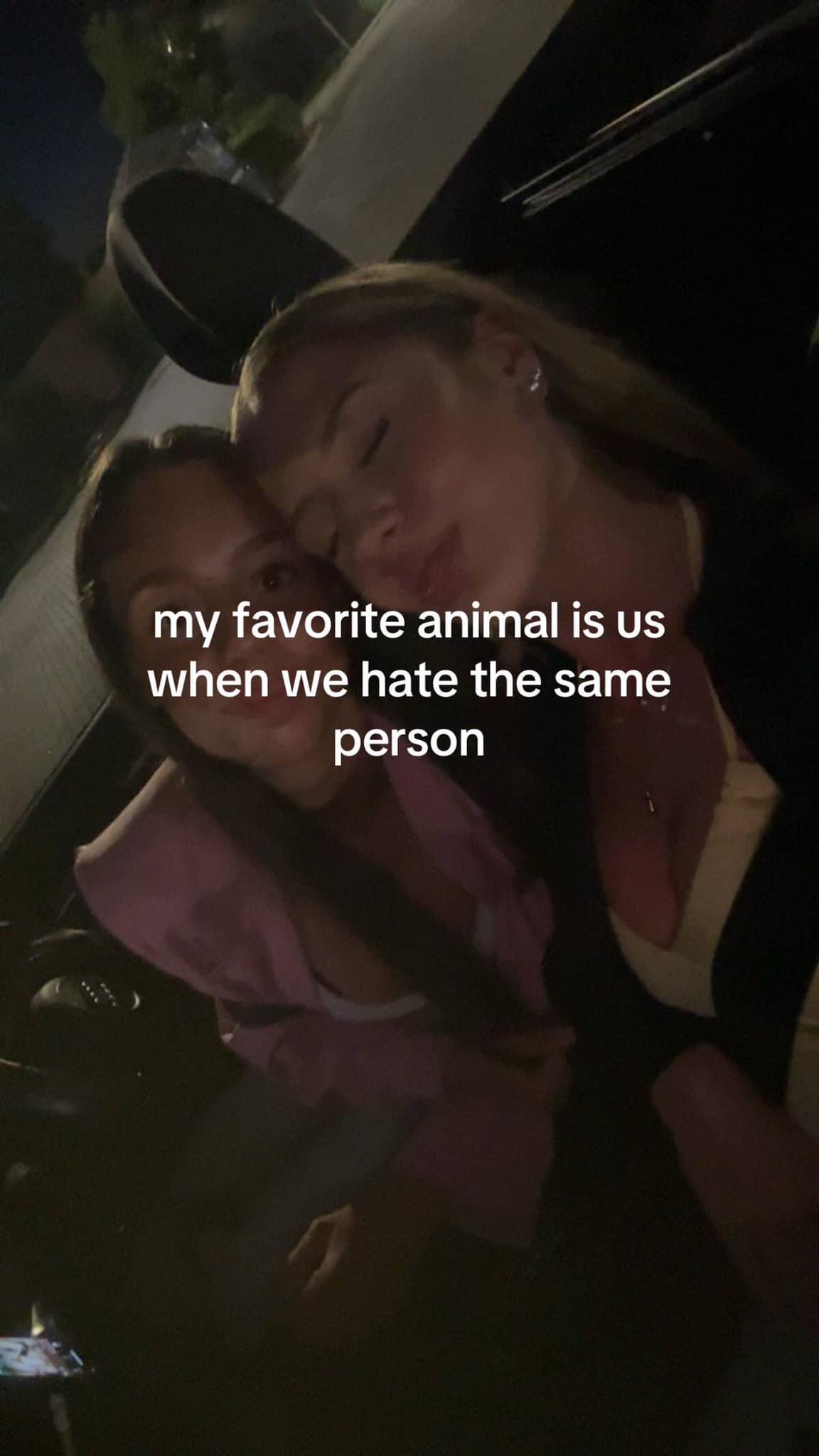 I’m pretty sure this is how our friendship started | Scrolller