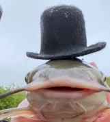 What a fine looking specimen I caught | Scrolller