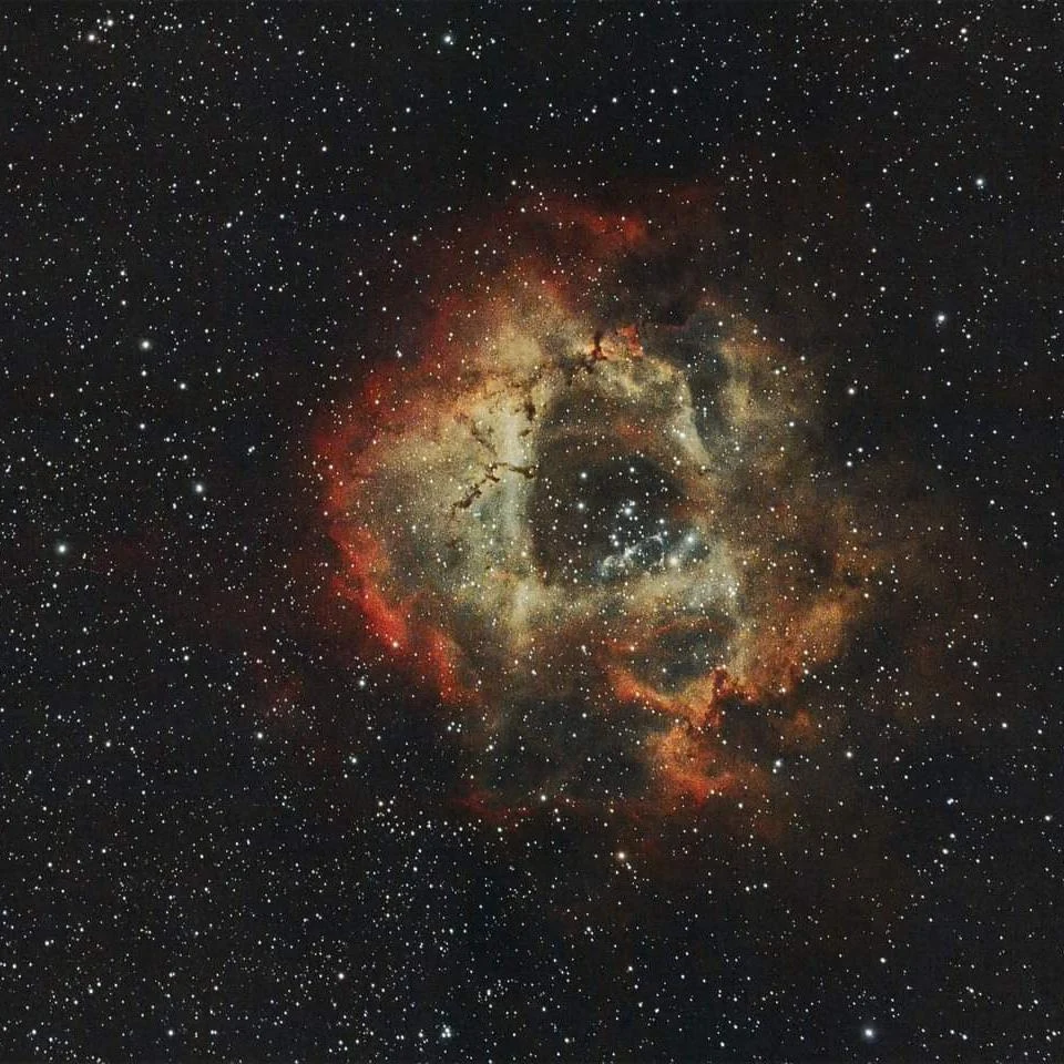 Rosette nebula | Scrolller