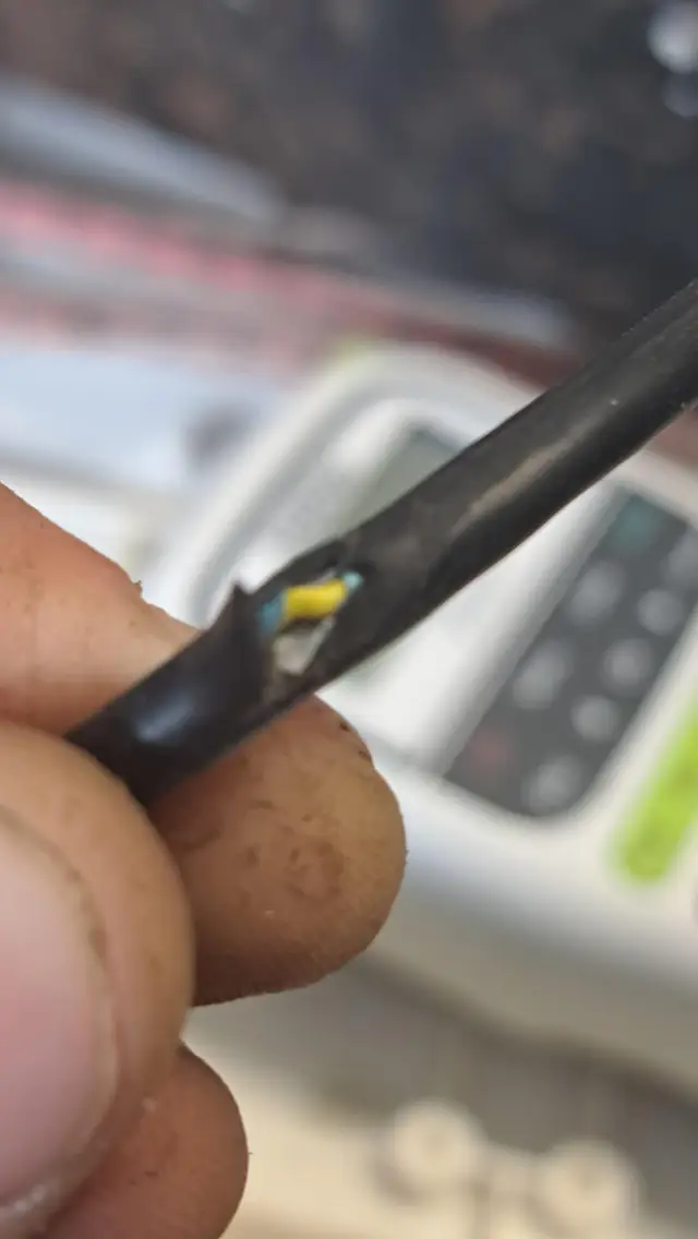 Tranducer cable damage | Scrolller