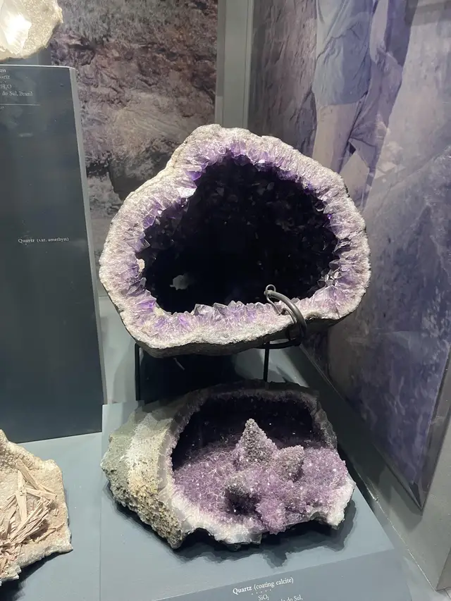 Smithsonian making me feel funny | Scrolller