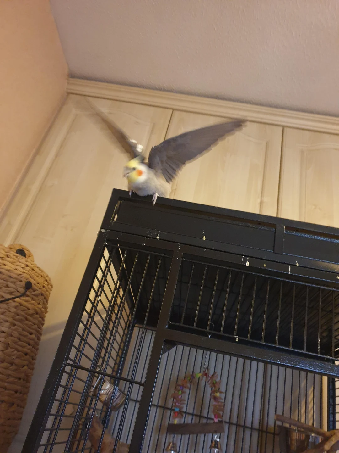 Prepare for take off | Scrolller