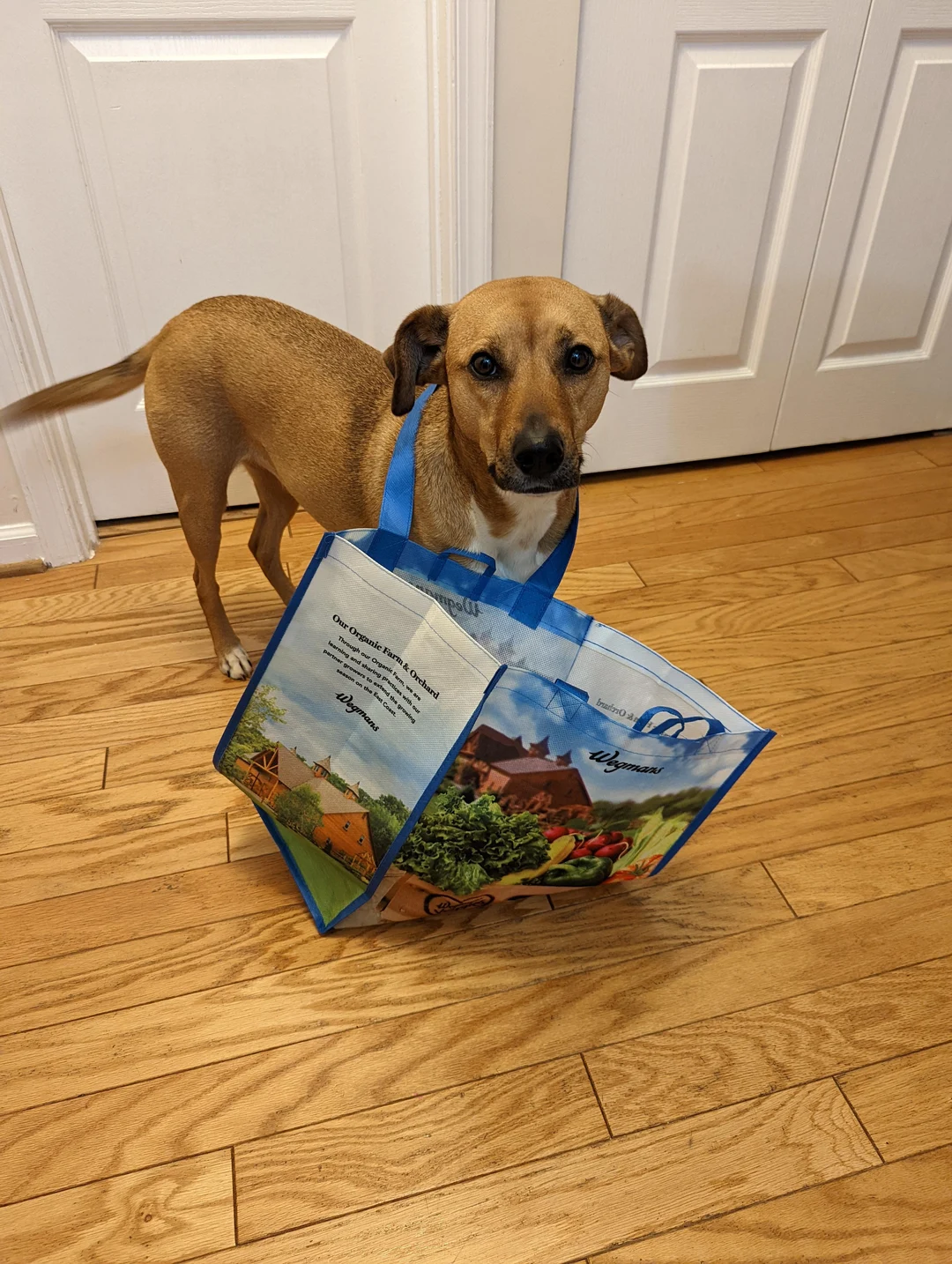 she thought she was being so sneaky | Scrolller