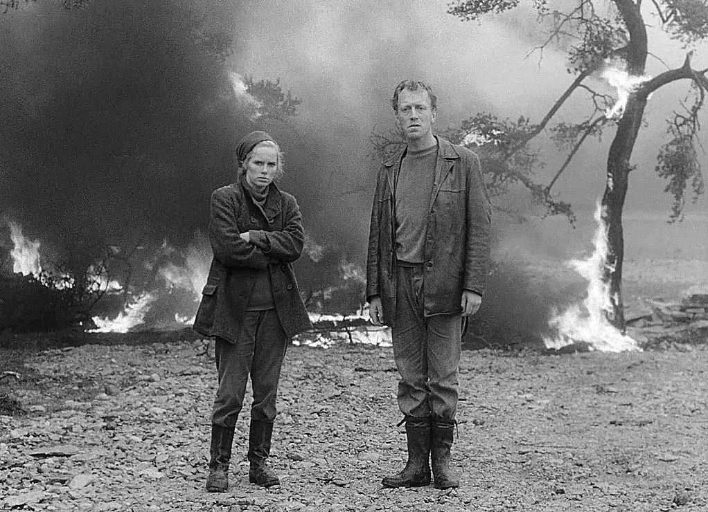 'Devastation' | Scrolller