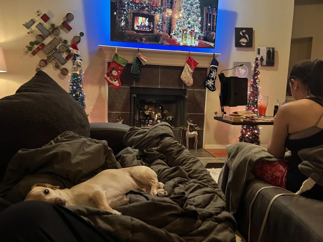 Started early! Wife making a village from scratch | Scrolller