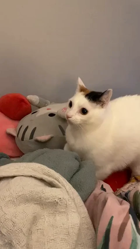 Existential crisis | Scrolller