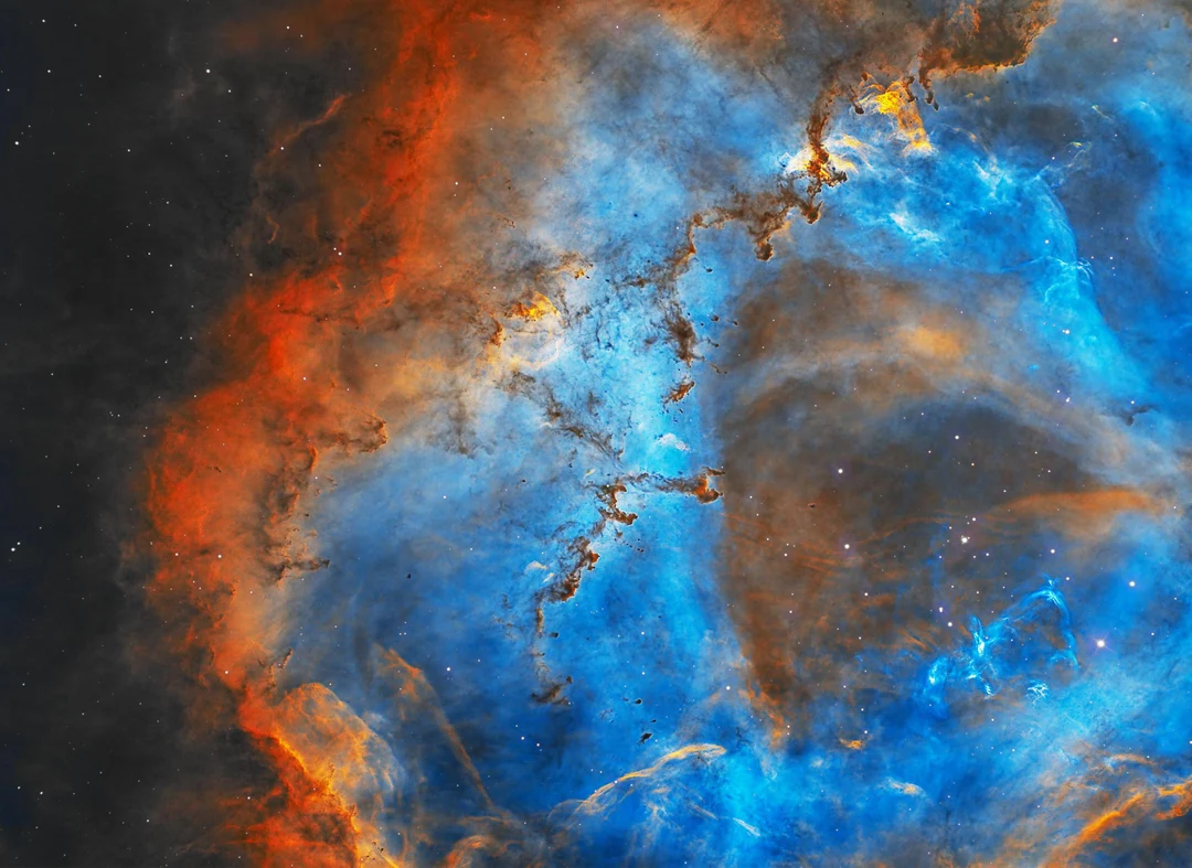 The Bok Globules of the Rosette Nebula | Scrolller