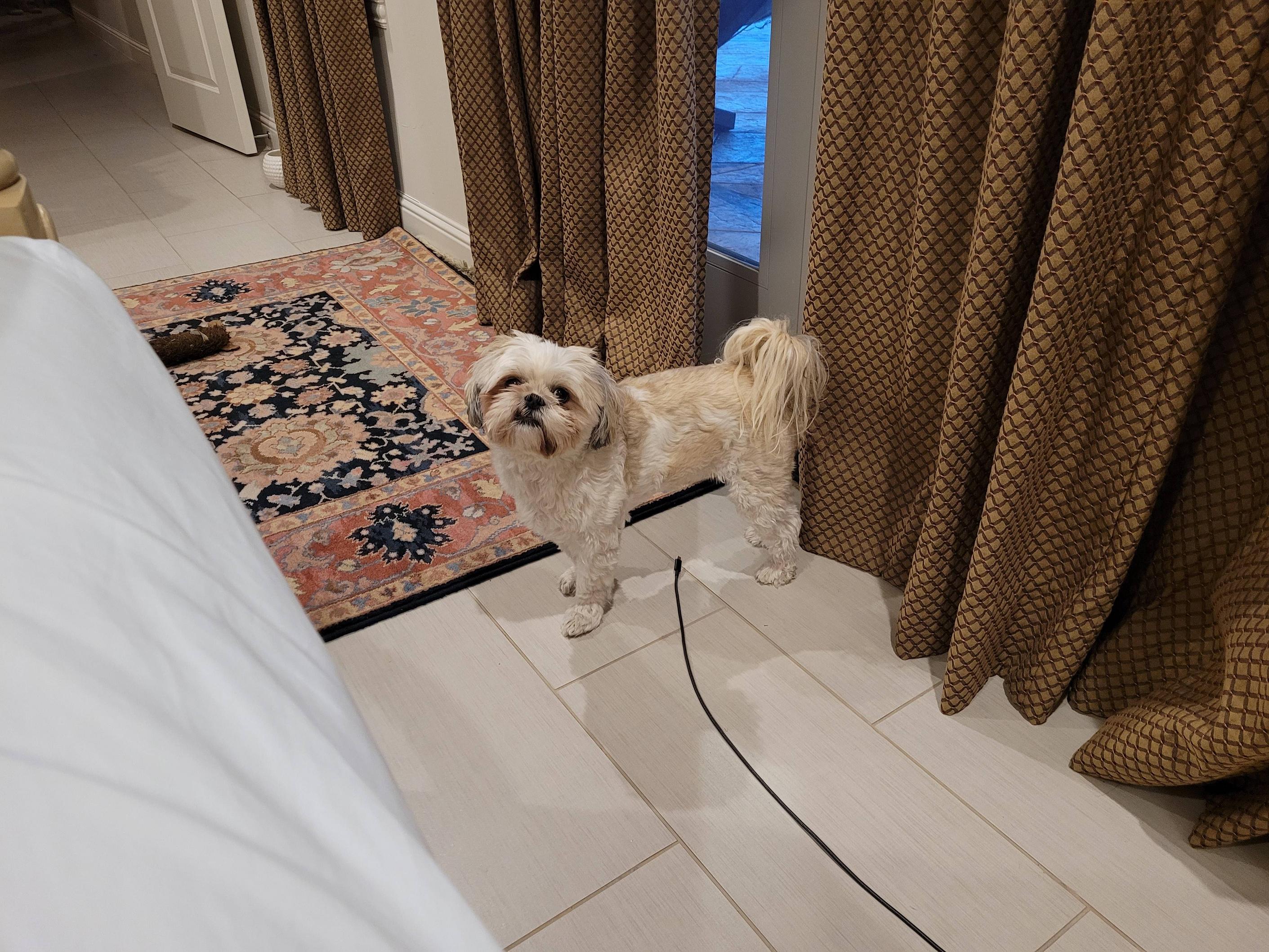 Fully charged! | Scrolller