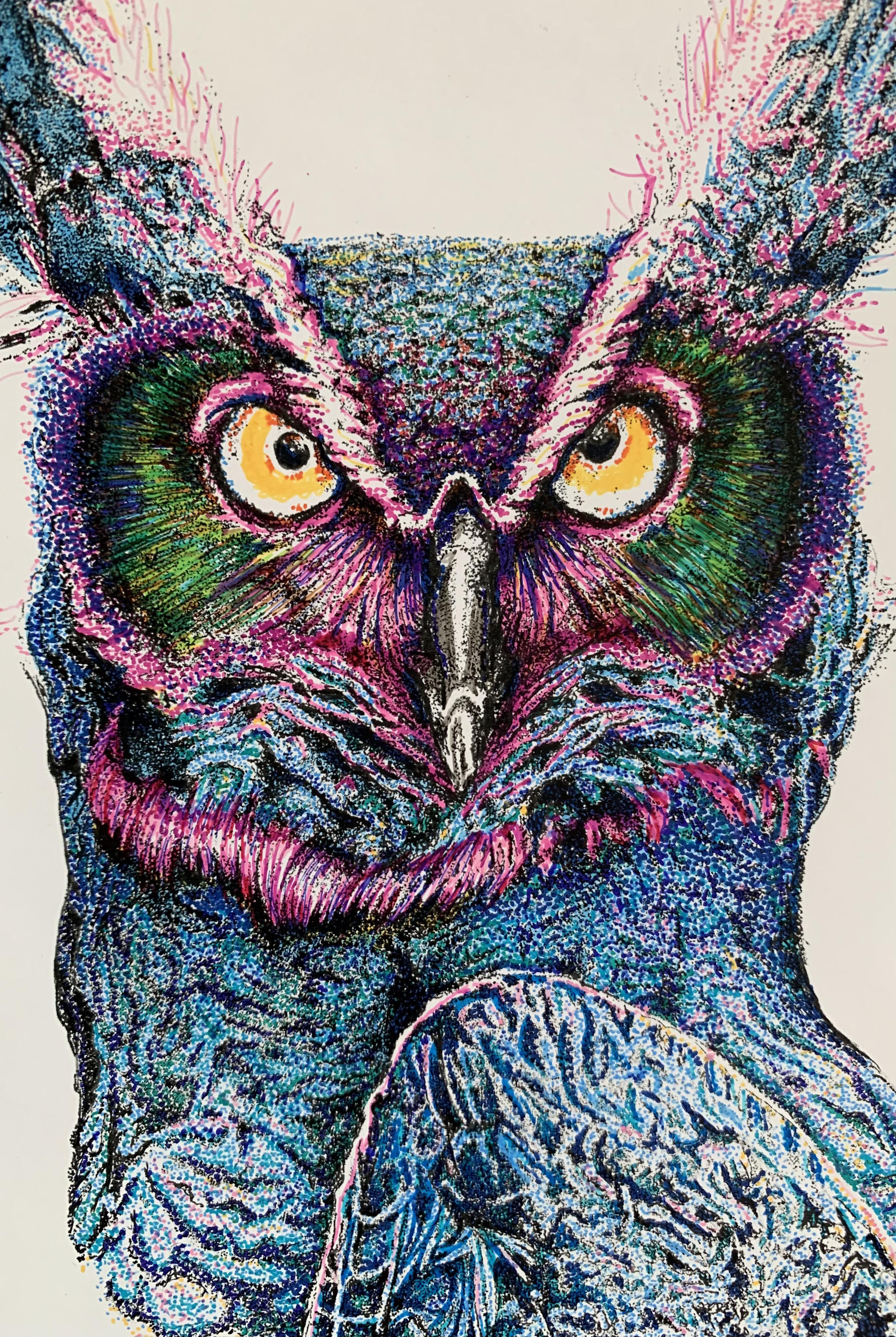 Psychedelic Owl Pointillism Art | Scrolller