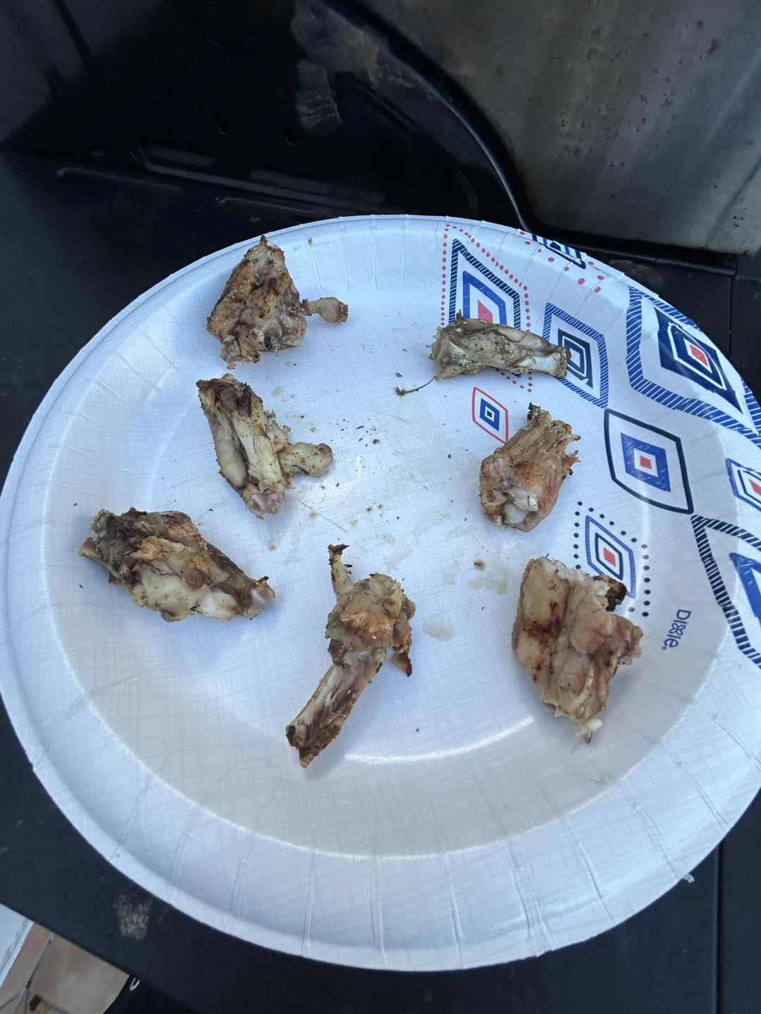 BBQ Iguana | Scrolller