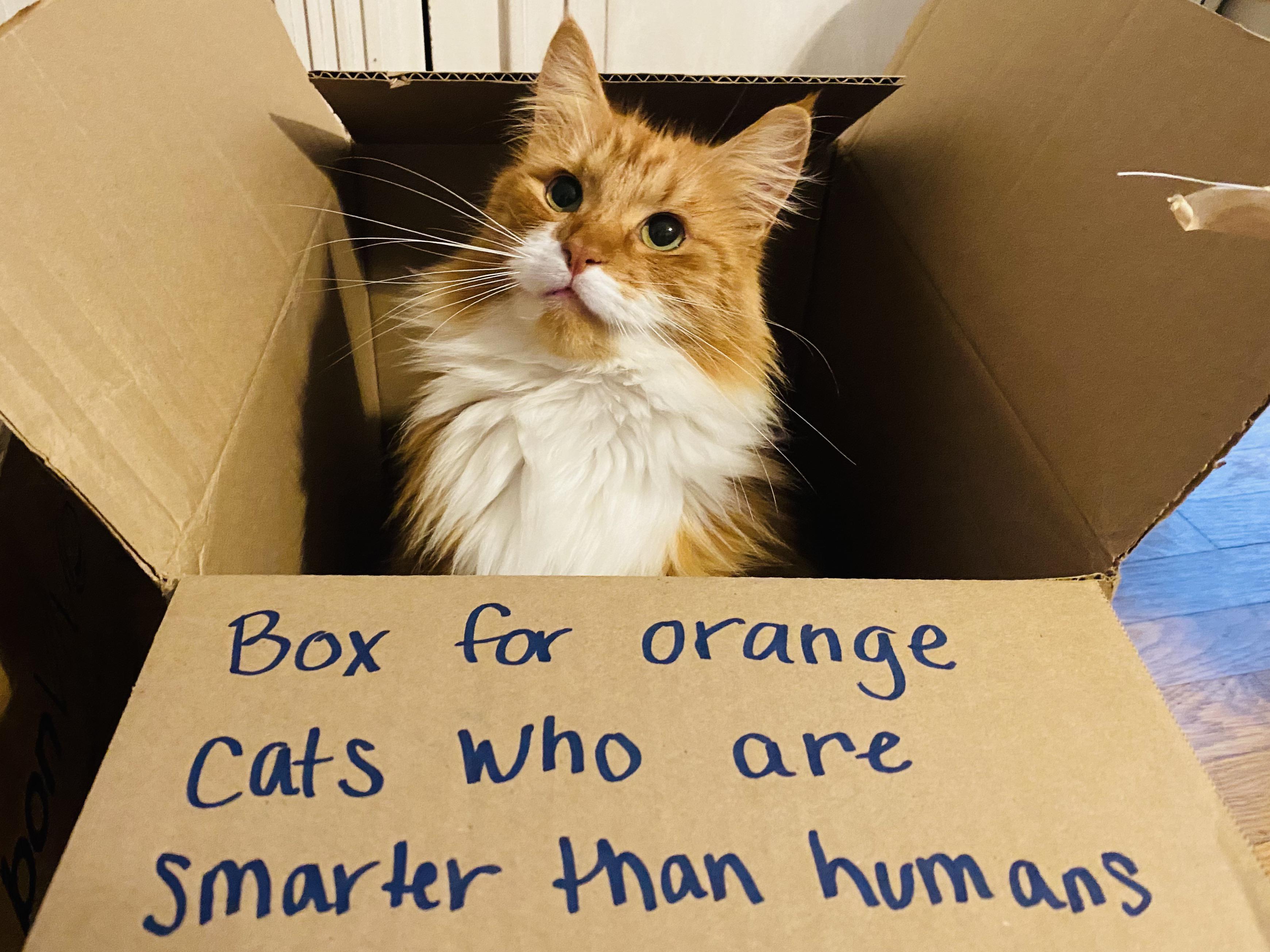 Well obviously Hobbes had to do it. | Scrolller